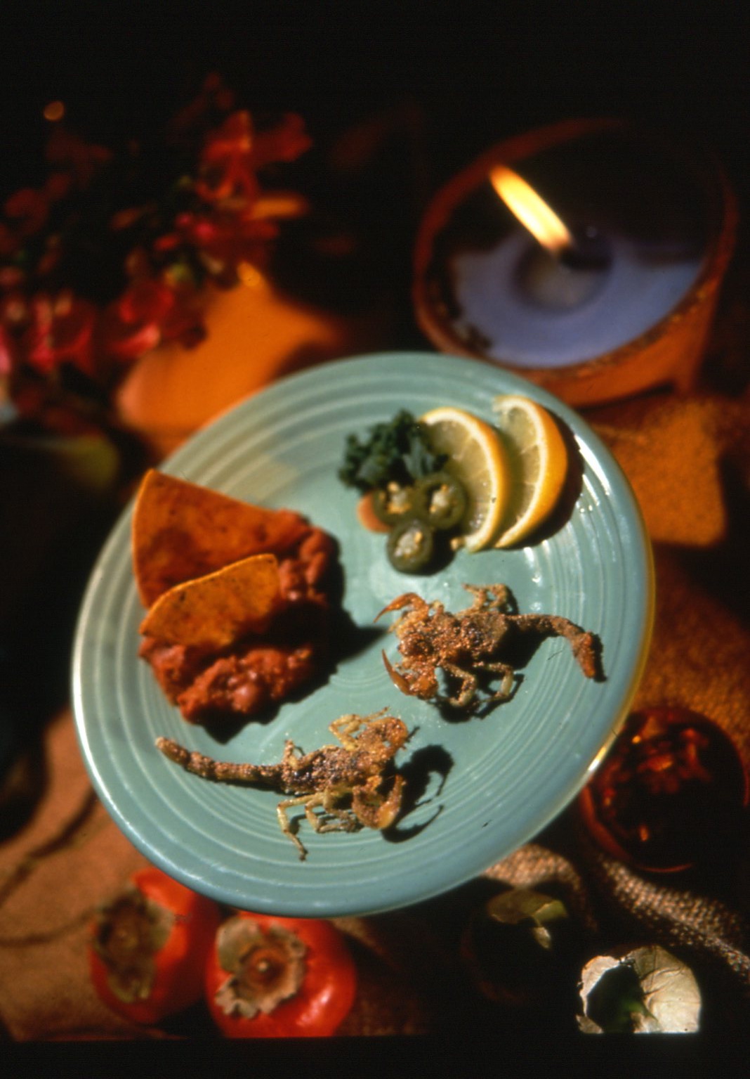 Culinary Insect Delights – The Academy of Natural Sciences