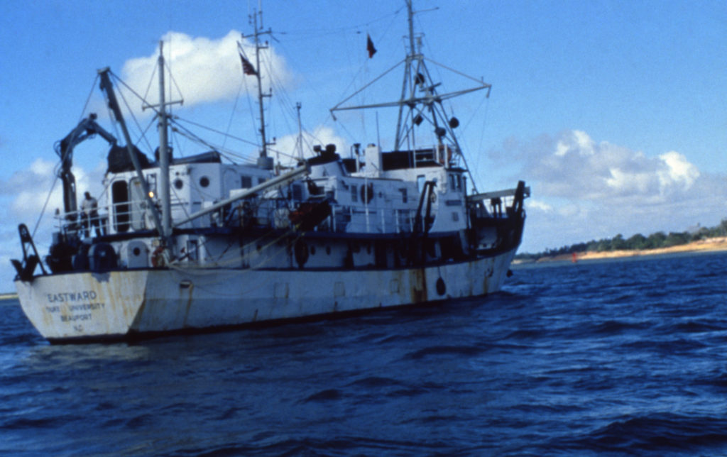 Mini Eyeless Catfish Named – The Academy of Natural Sciences