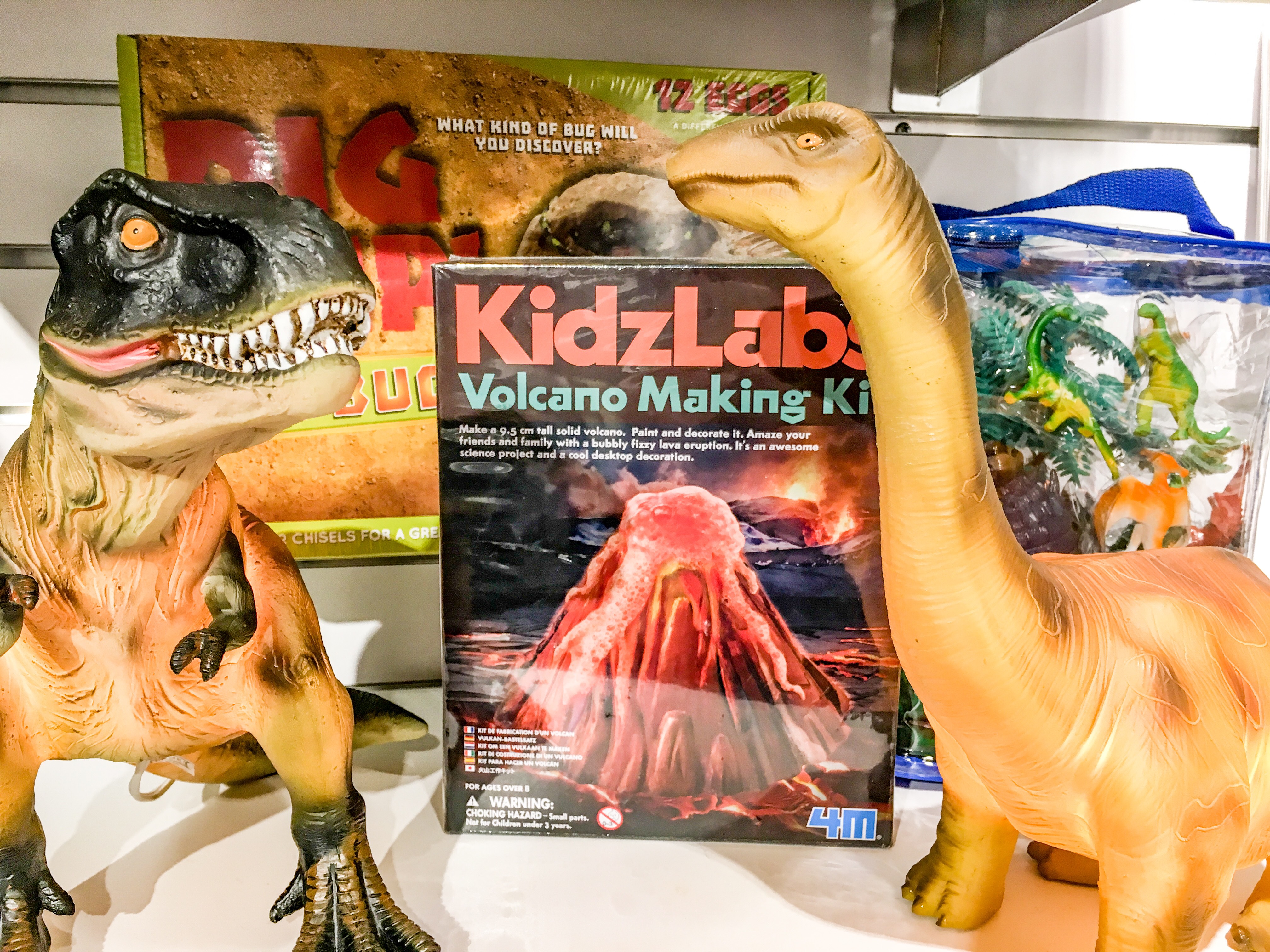 15 Awesome Gifts for Everyone on Your List – The Academy of Natural ...