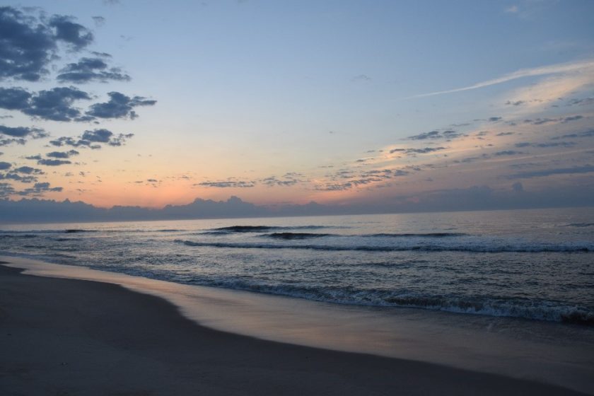 Using Less Water: A How-to Guide – The Academy of Natural Sciences