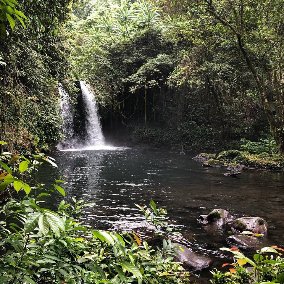 Protecting Bioko’s Biodiversity – The Academy of Natural Sciences