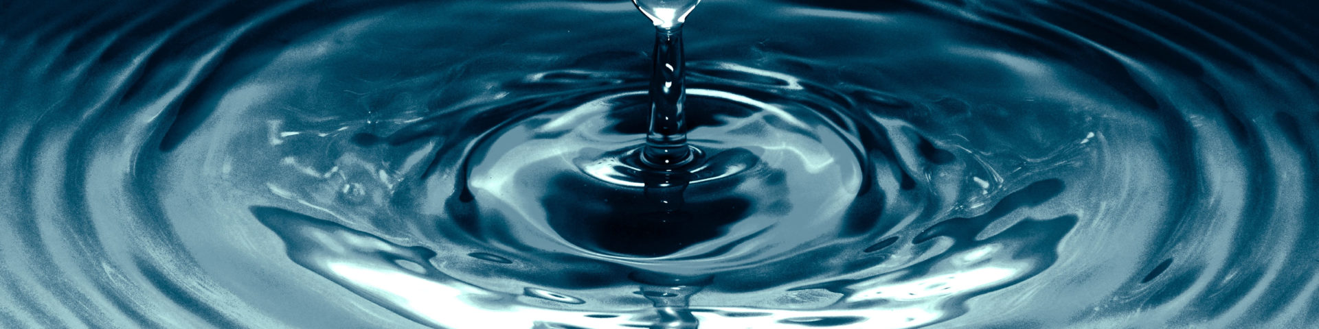 Using Less Water: A How-to Guide – The Academy of Natural Sciences