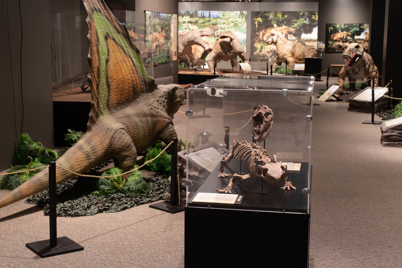 Permian Monsters: Life Before the Dinosaurs – The Academy of Natural ...