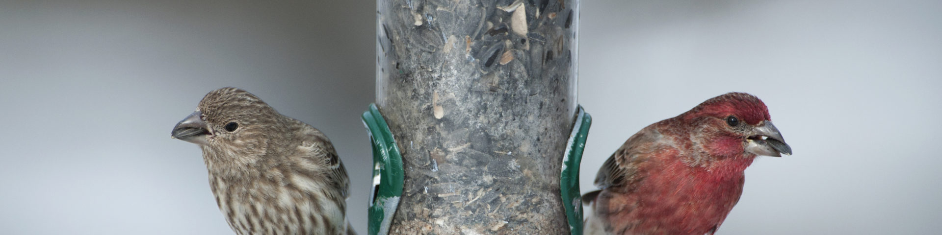 The Academy of Natural Sciences