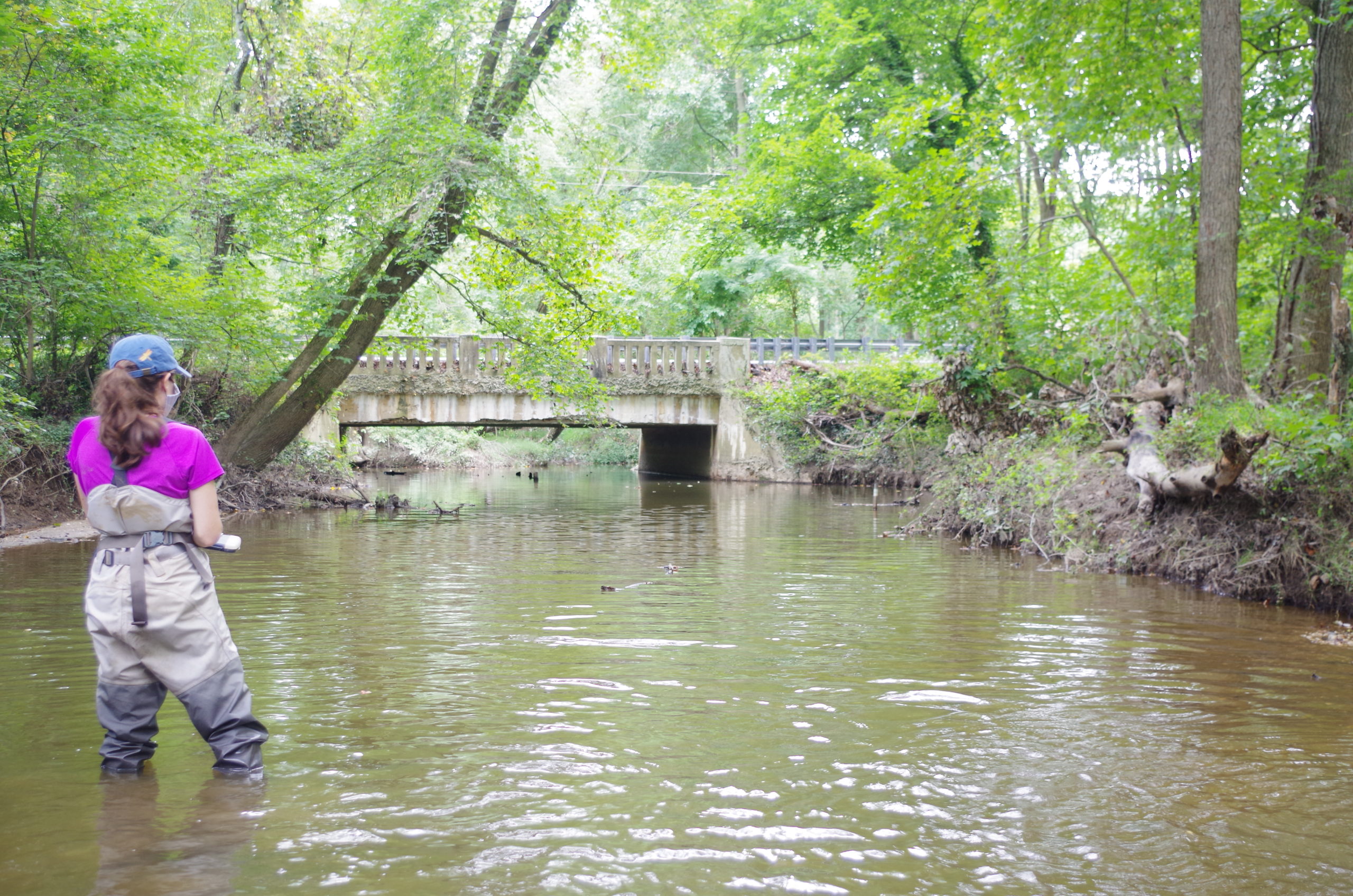 Get Involved in Your Watershed! – The Academy of Natural Sciences