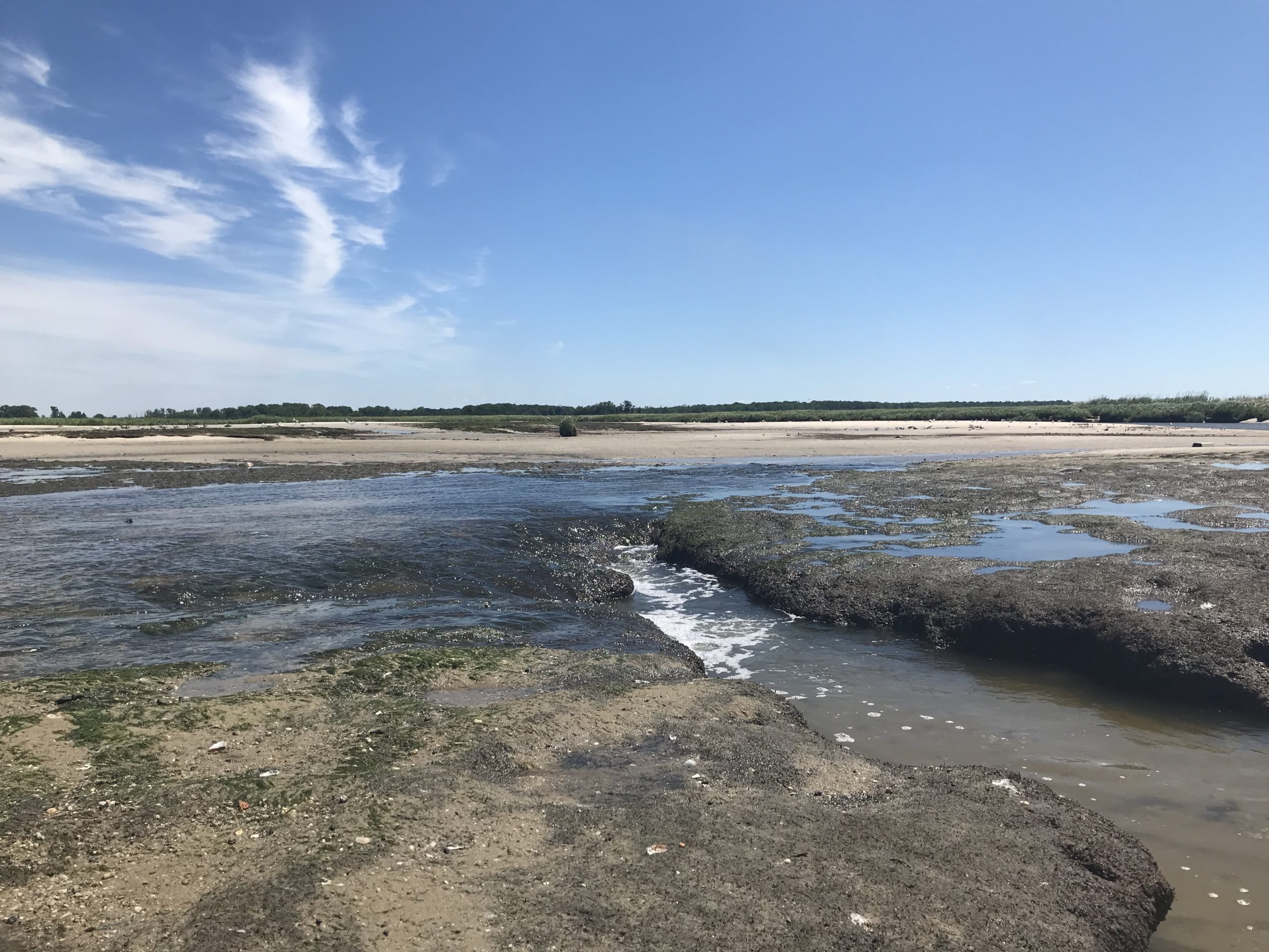 Confronting the Effects of Coastal Climate Change – The Academy of ...