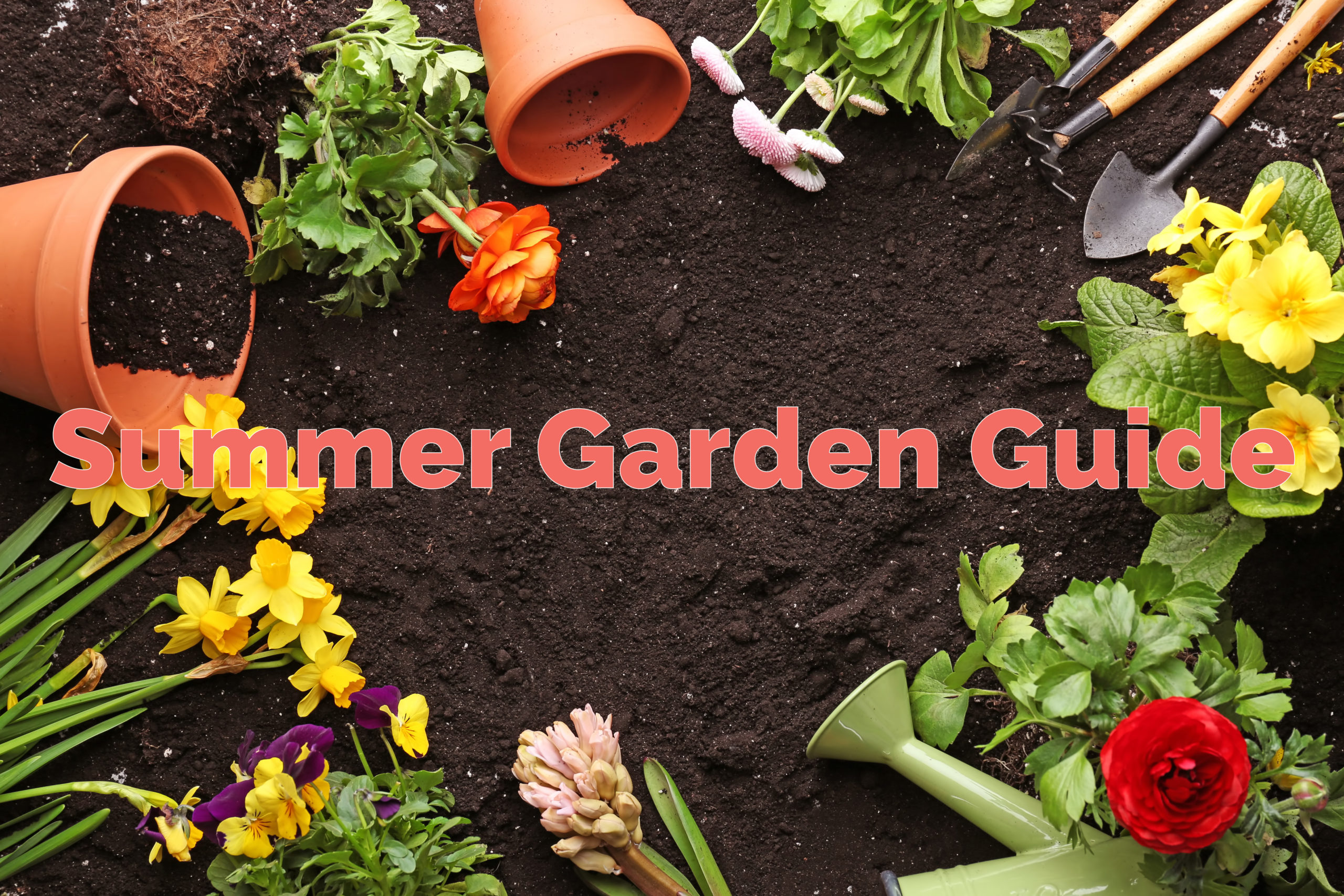 Summer Garden Guide – The Academy of Natural Sciences